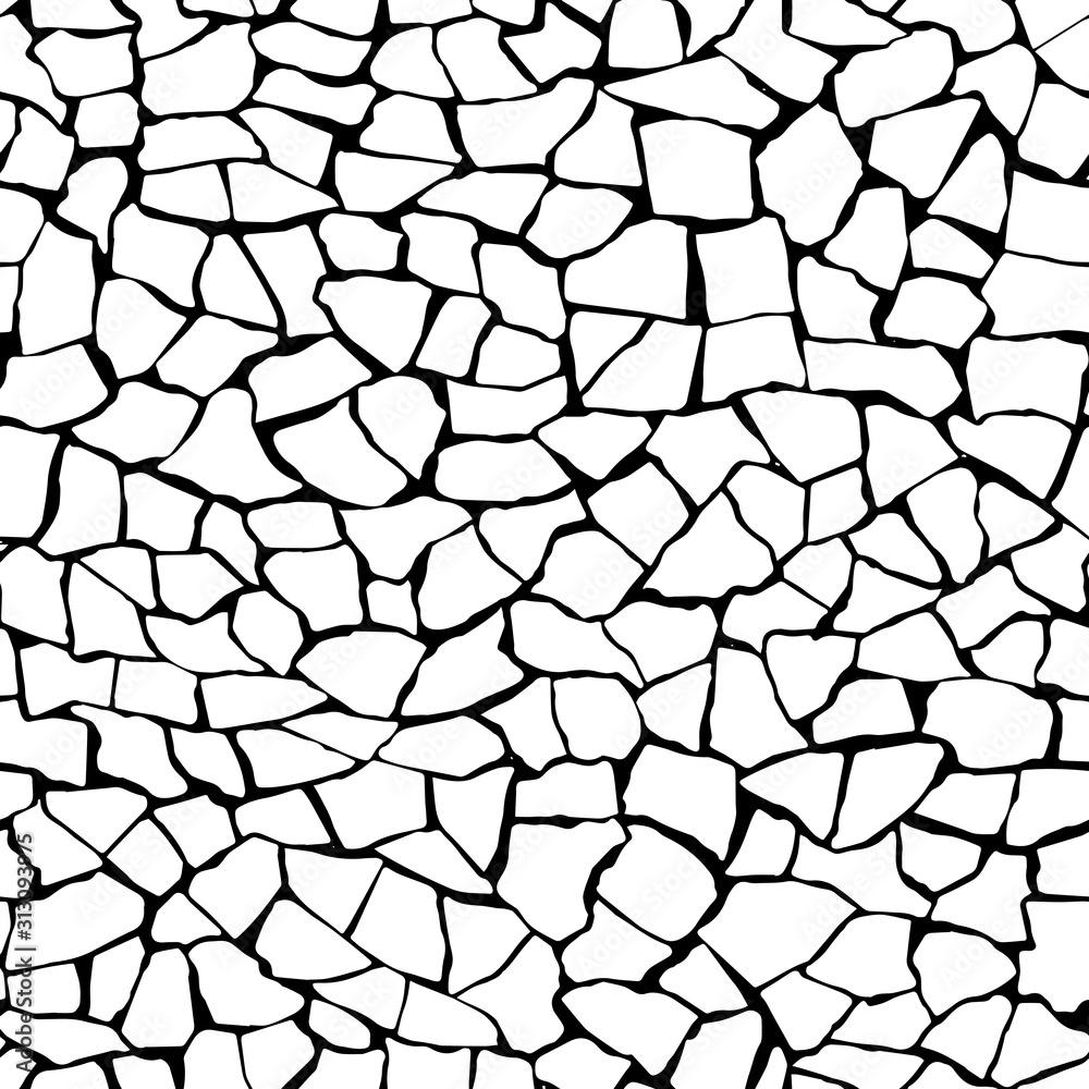 Seamless pattern.The cracks texture white and black. Vector background ...