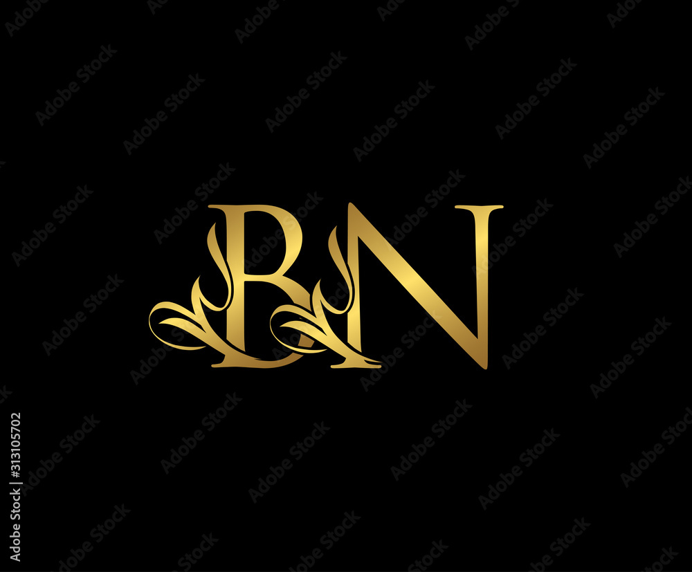 Classy letter B , N and BN Vintage Gold Floral Logo Icon, overlapping ...