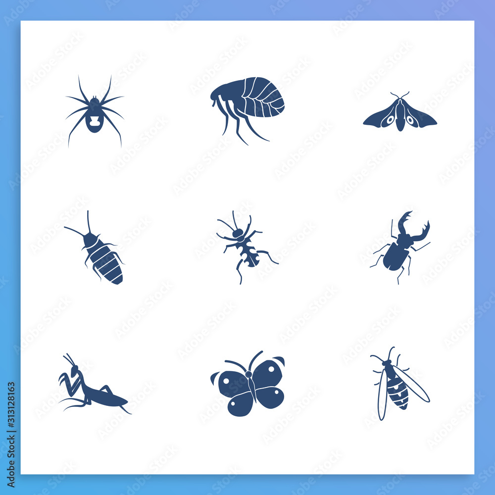 Bug icon set and tiger beetle with black widow spider, stag beetle and ...
