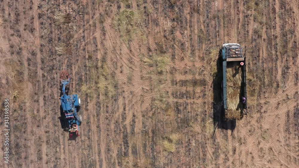 Aerial view of Sugar cane harvesting - Mechanical harvesting sugar cane ...