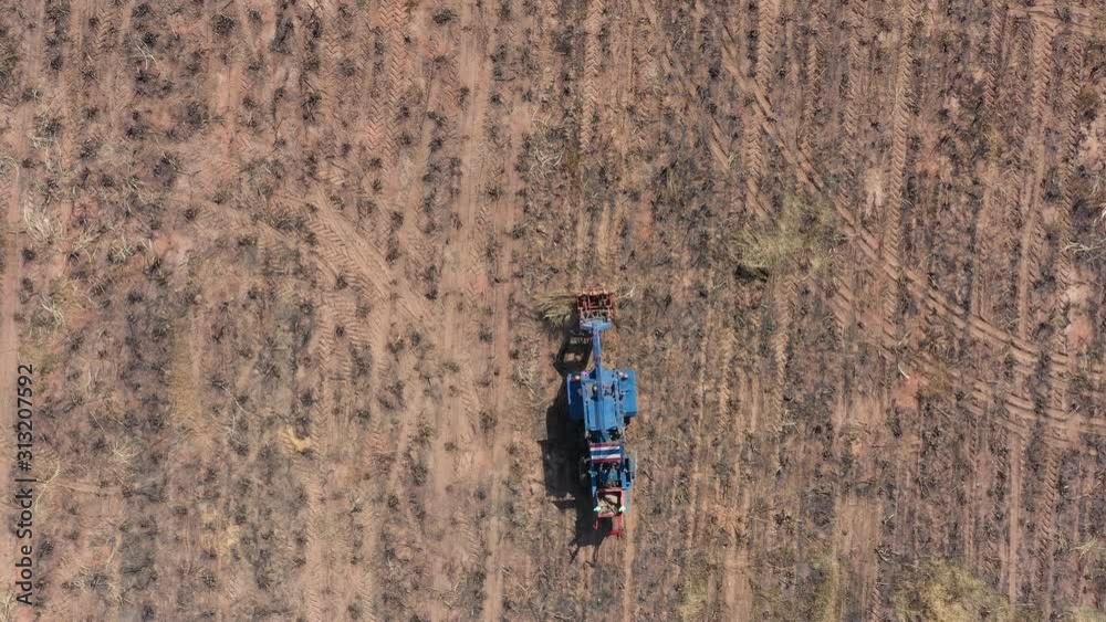 Aerial view of Sugar cane harvesting - Mechanical harvesting sugar cane ...