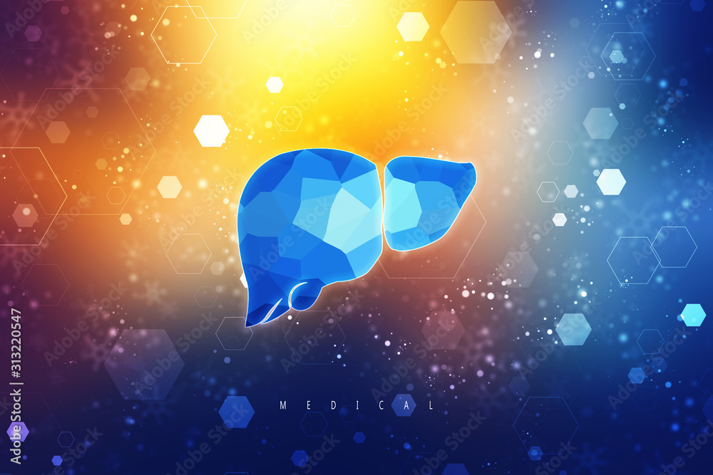 Realistic human liver 2d illustration Stock Illustration | Adobe Stock