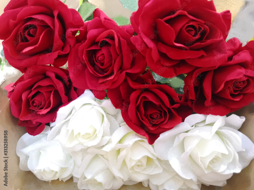 White Love Rose Flower Pictures | Best Flower Site