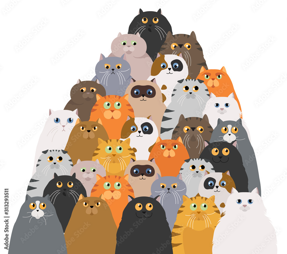 Cat poster. Cartoon cat characters collection. Different cat`s poses ...