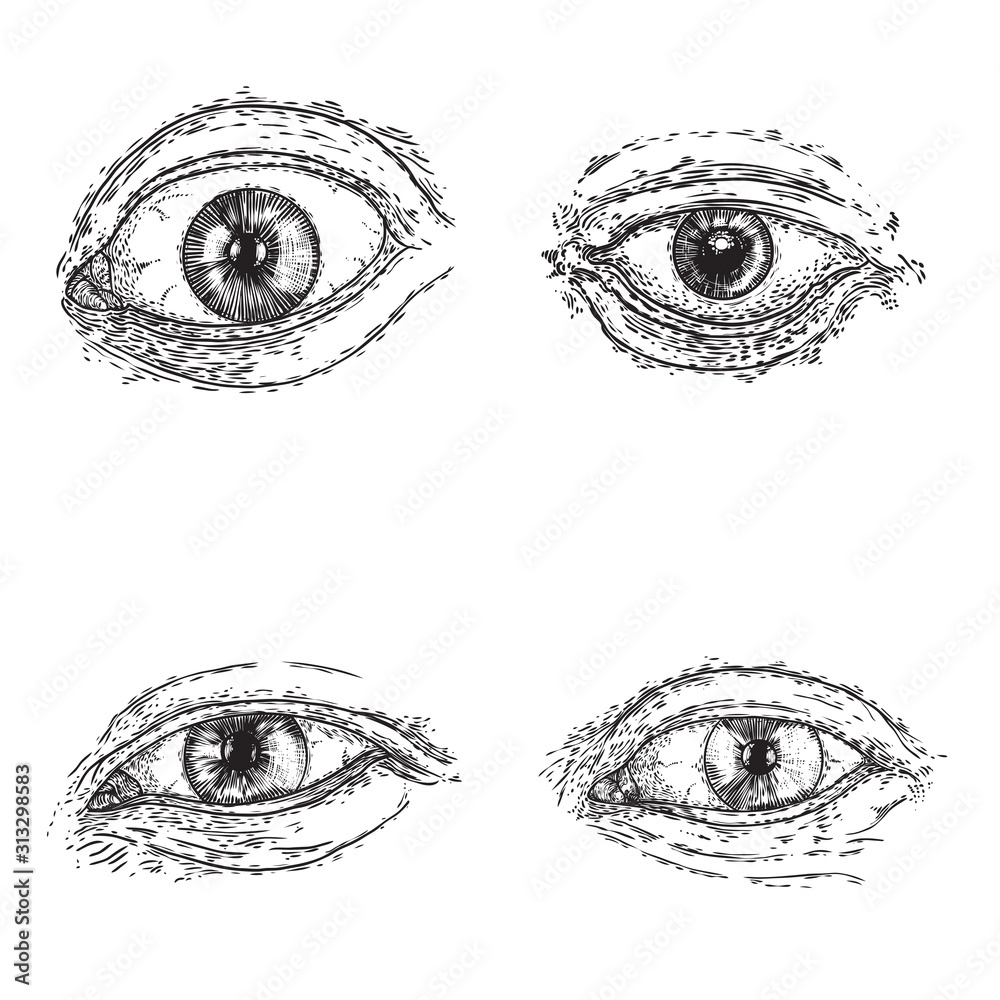Set of various drawing of the human eye in different direction and ...