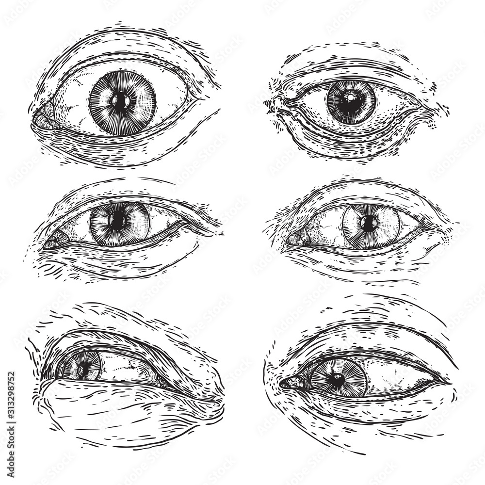 Set of human eyes for design of all seeing eye symbols variations ...