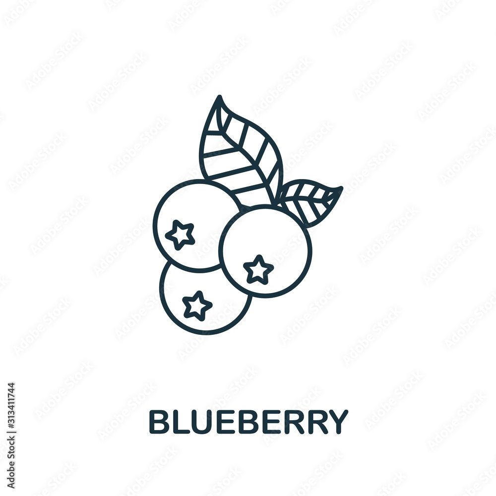 Blueberry icon from fruits collection. Simple line element Blueberry ...