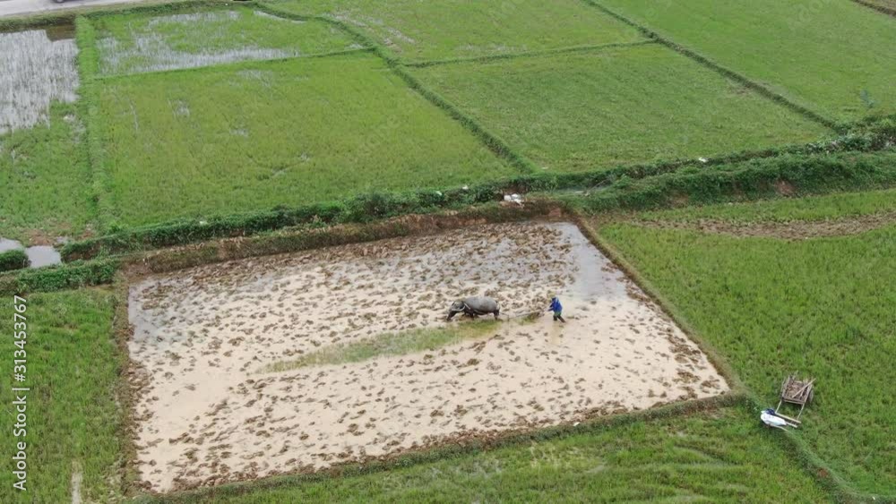 Beautiful tranquil rotating view of asian farmer working using ...