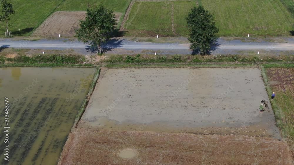 Vidéo Stock Inspiring view of hardworking farmer working using water ...