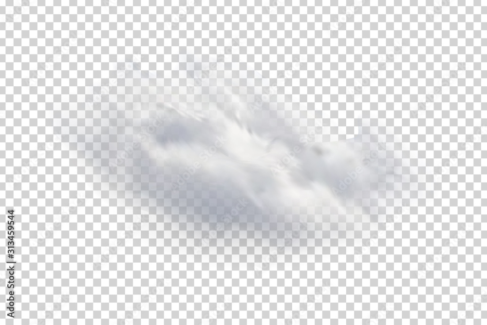 Vector realistic isolated cloud for template decoration and mockup ...