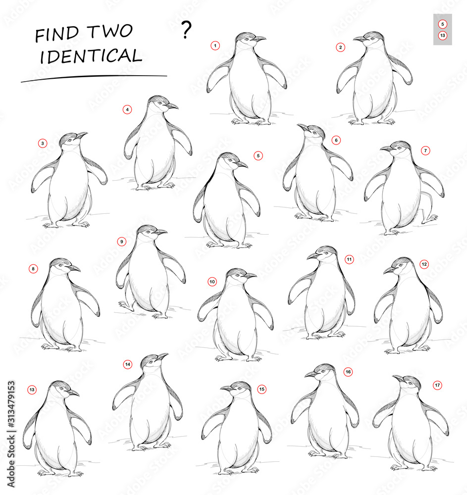 Logic puzzle game for children and adults. Need to find two identical ...