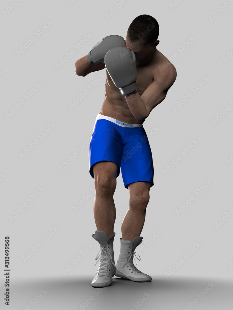 Boxer Fighter Full Body