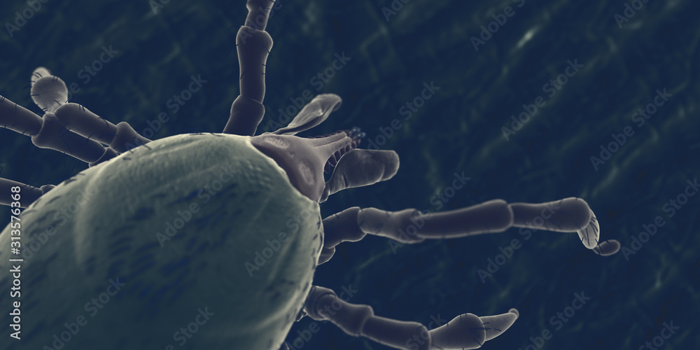 3d rendered illustration of a tick on human skin, sem style Stock ...