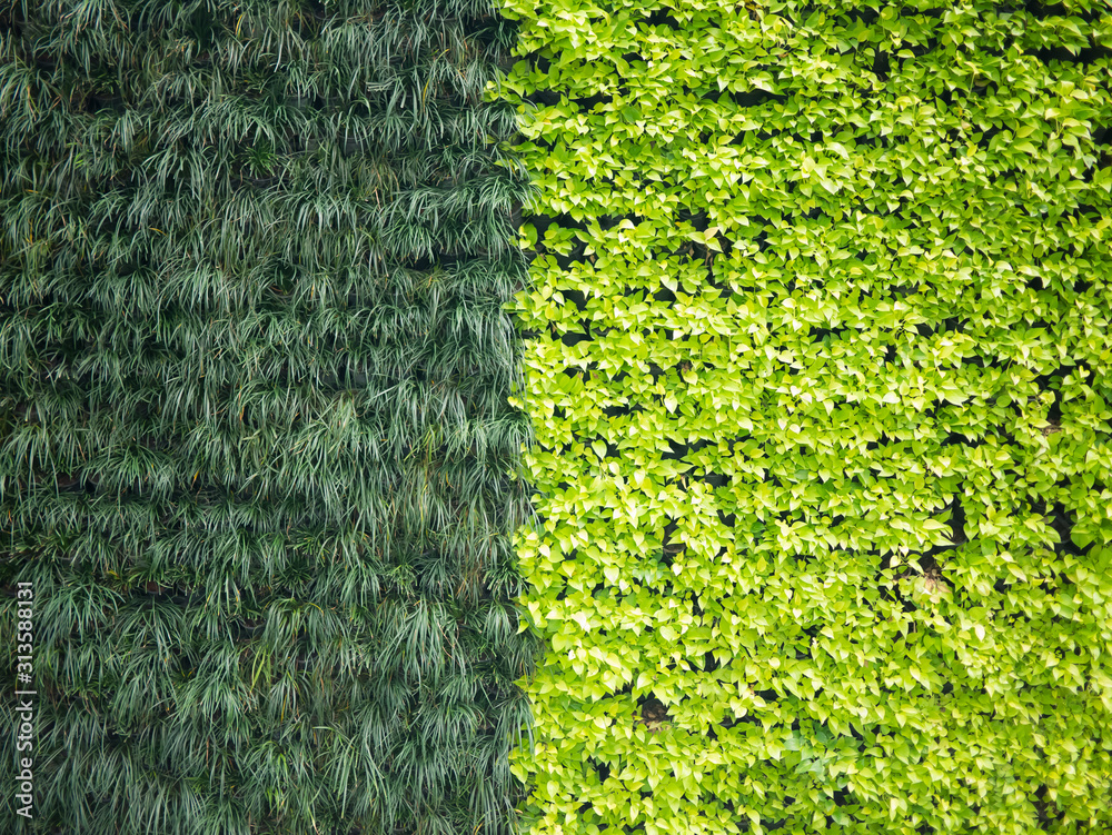 Green grass wall texture for backdrop design and eco wall and die-cut ...