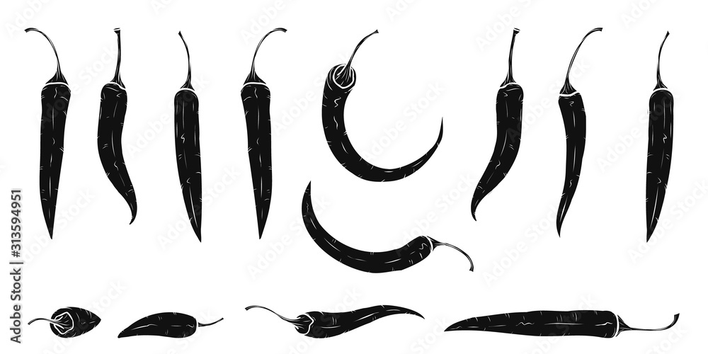 Set of Chilli peppers silhouette by hand drawing.Chilli peppers vector ...