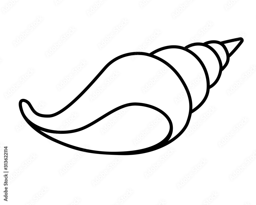 Shell. Spiral, conical shell of a sea or ocean mollusk. Vector linear ...