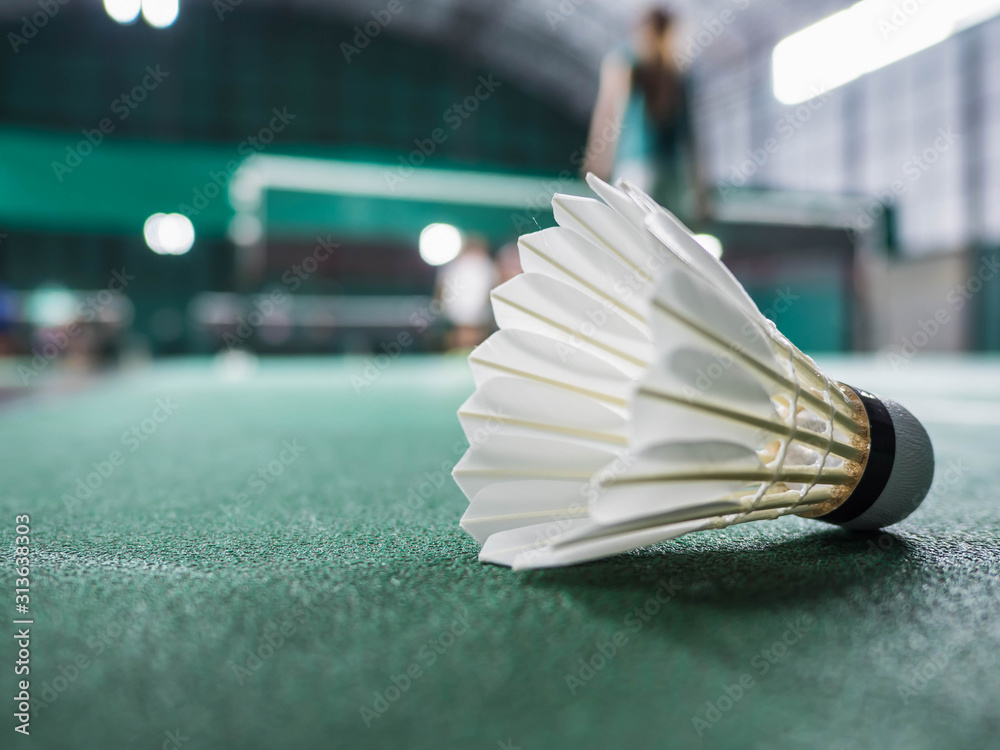 The shuttlecock is on the green badminton court floor. There is motion ...
