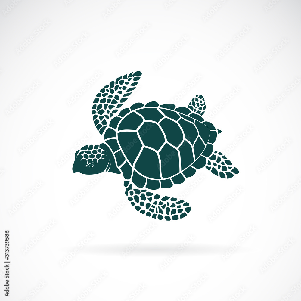 Vector of turtle design on a white background. Wild Animals. Underwater ...