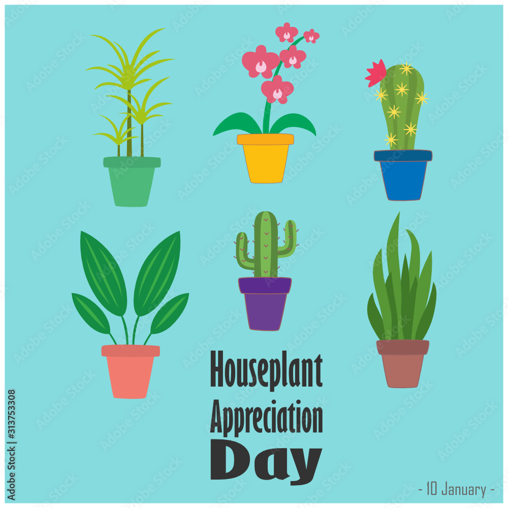 Houseplant Appreciation Day January 10th with houseplans and text ...