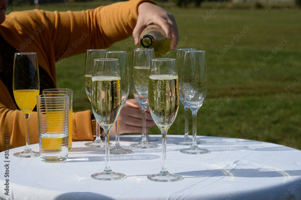 Feier geburtstag Hochzeit Sekt Sektglas anstoßen hand halten foto de ...
