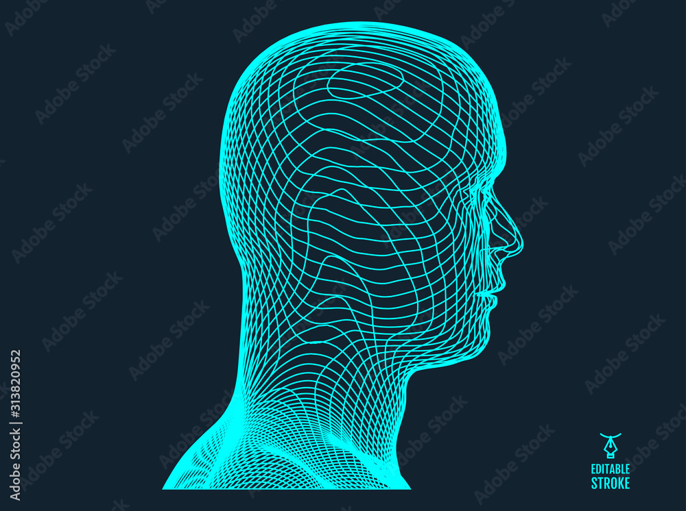 Human Head 3d Vector