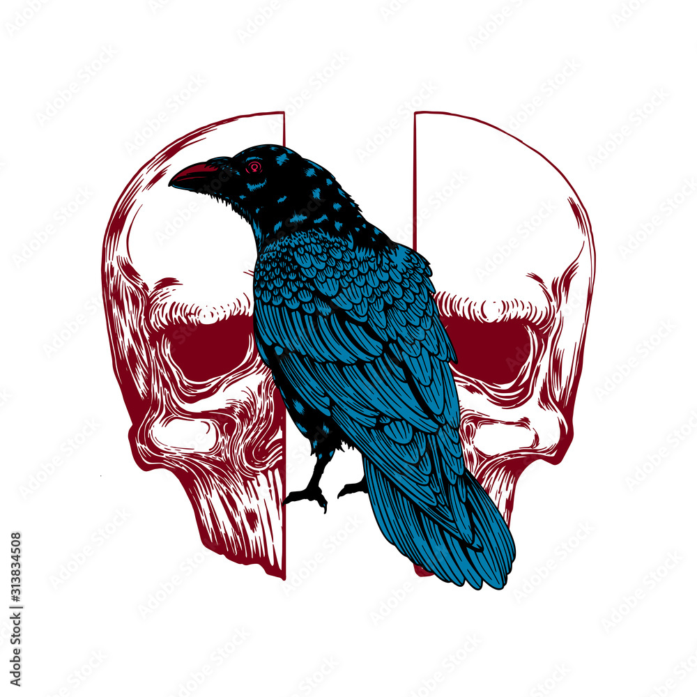 Crow on skull isolated on white. Hand drawn vector art. Sketch vector ...