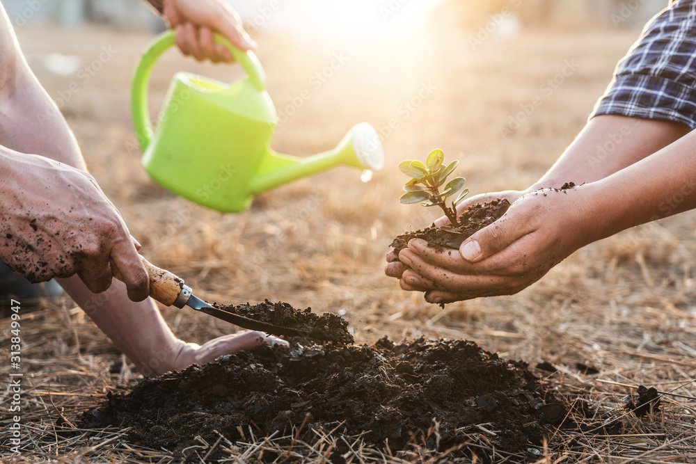 Environment earth day, Hands of tree man helping were planting the ...