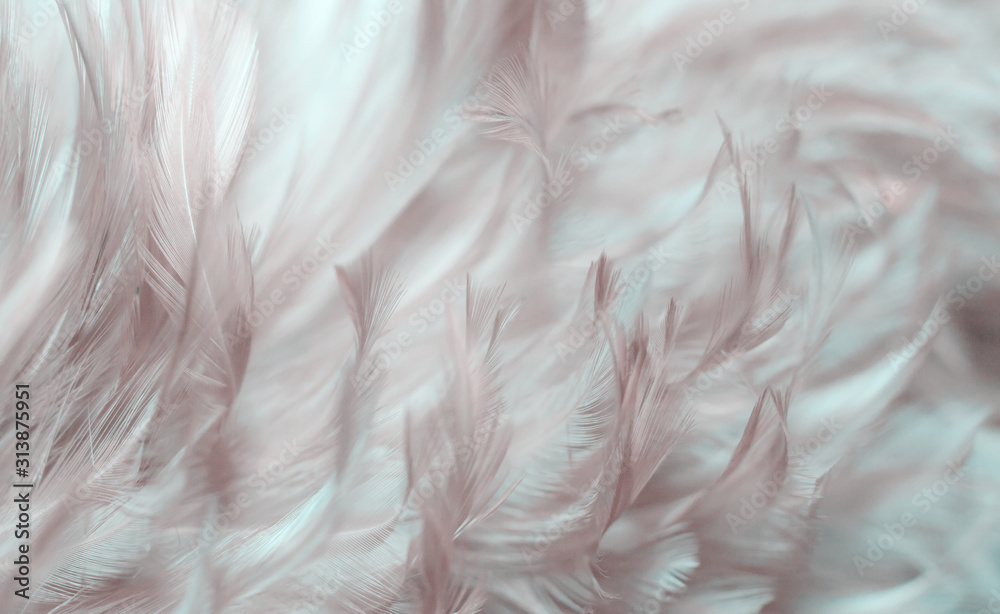 Image nature art of wings bird,Soft pastel detail of design,chicken ...