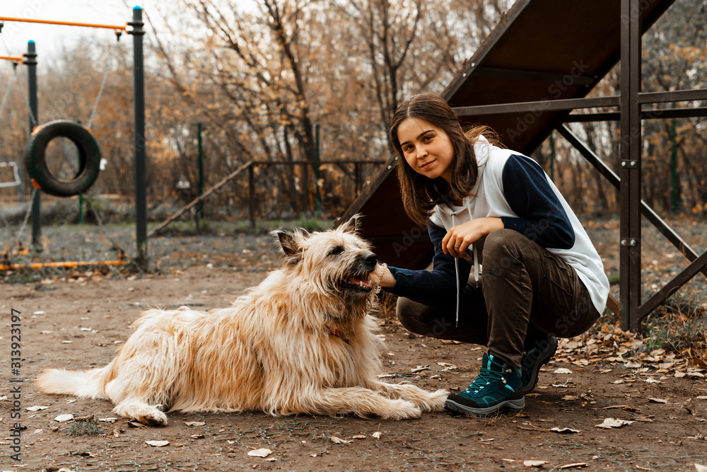 Animal training. A volunteer girl walks with a dog from an animal ...