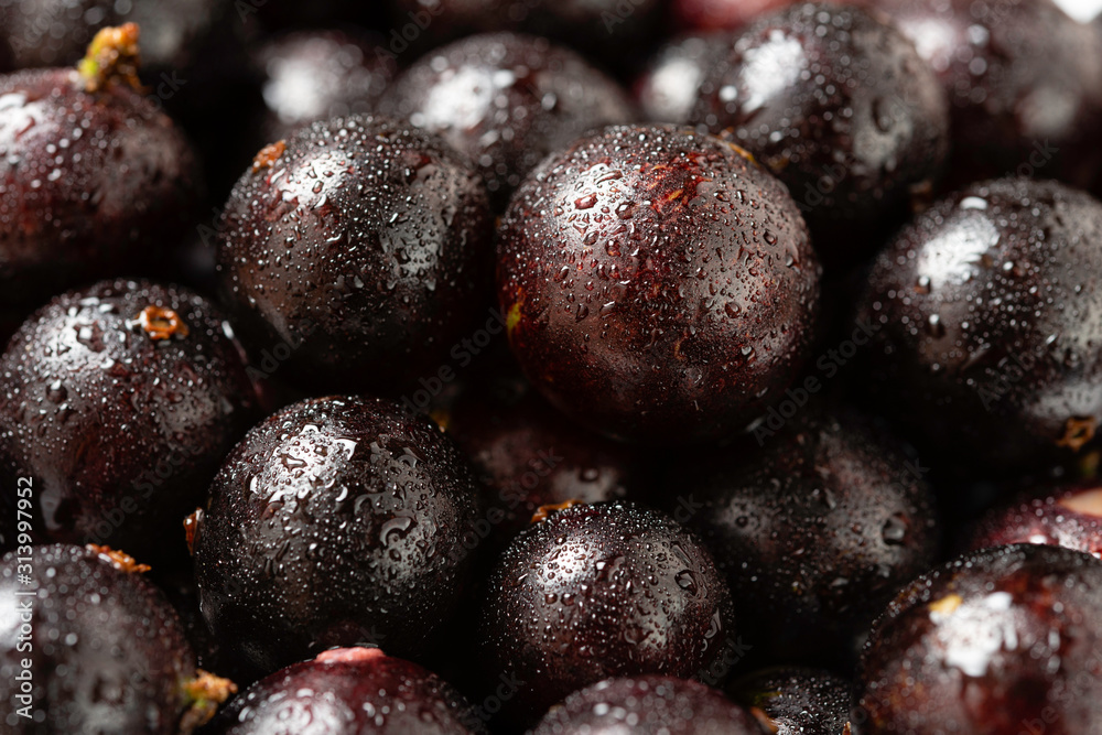 Foto de Fruit Detail. Jaboticaba or Jabuticaba is the native Brazilian ...