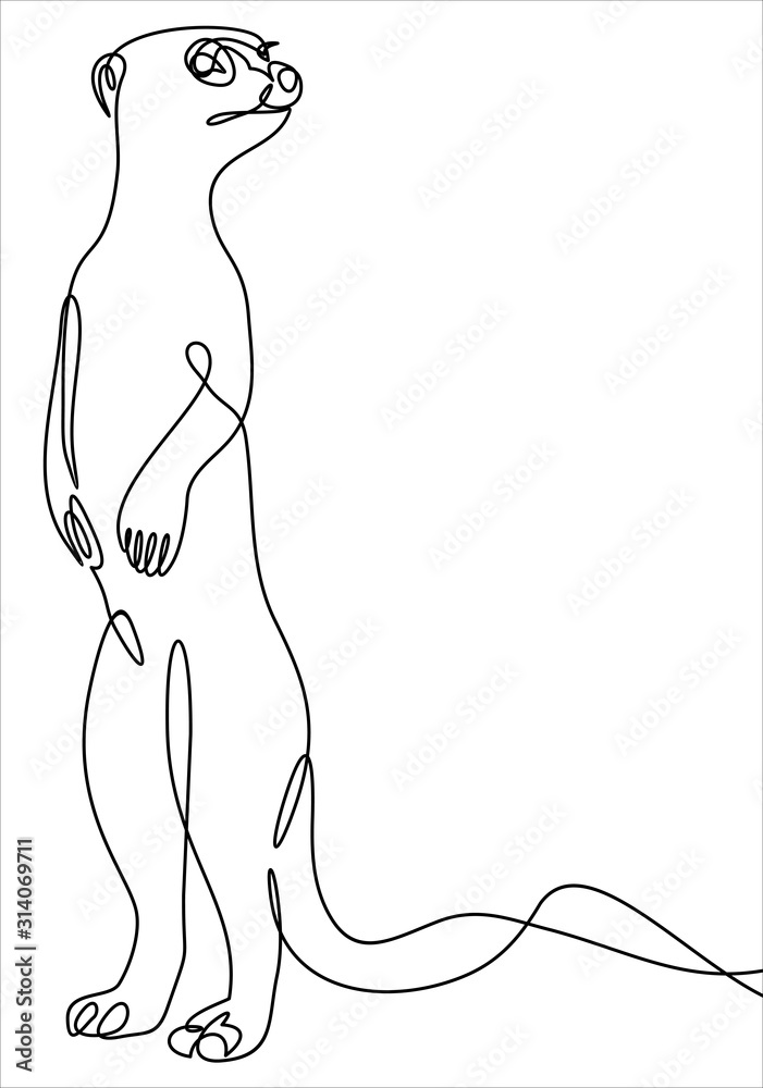 Simple Meerkat Drawing