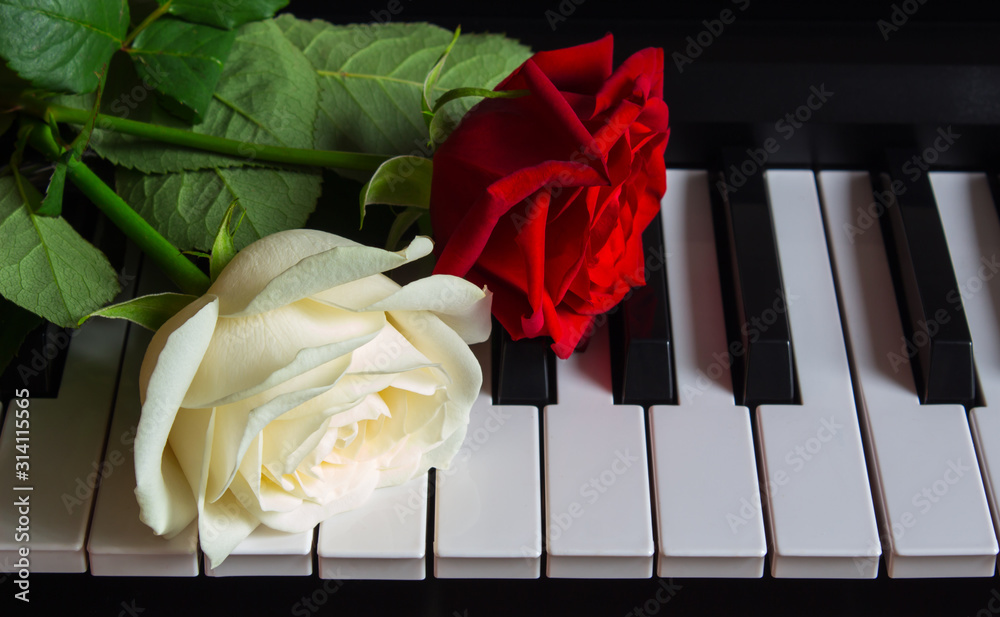 Pianos With White Roses