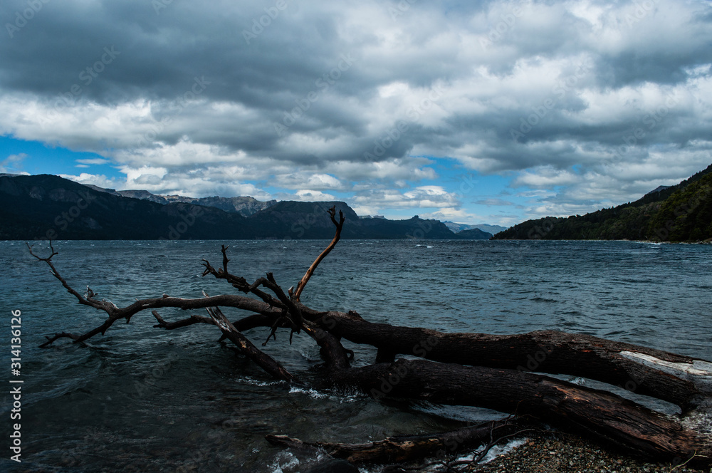 Foto de Paisaje nubloso de Lago Traful y montañas de fondo con tronco ...