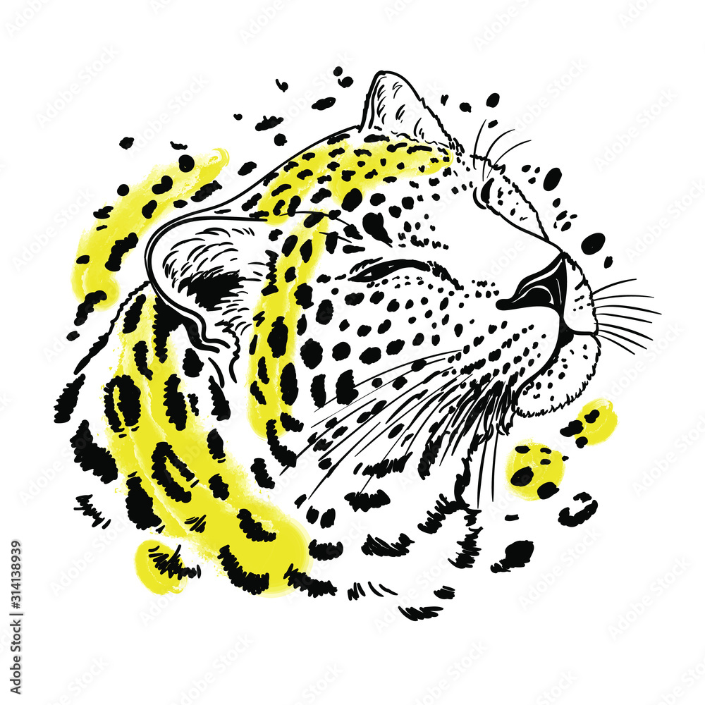 Leopard portrait isolated on white background. Squinting eyes. Template ...