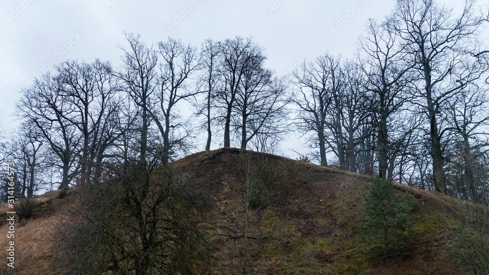 View on the holy oak hill. Worship of pagan Gods and trees. Ancient ...