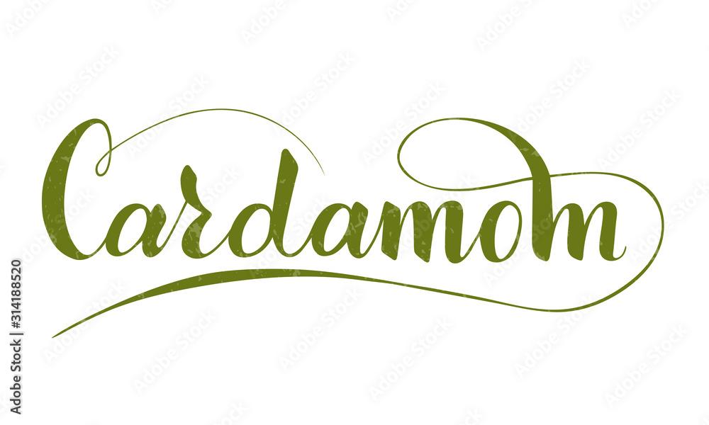 Vector hand written cardamom text isolated on white background. Kitchen ...
