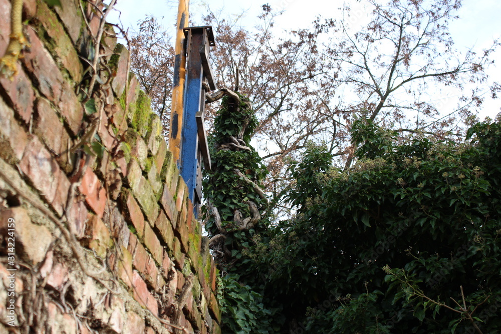 Alte mauer im Wald mit Flaggenmast Stock Photo | Adobe Stock