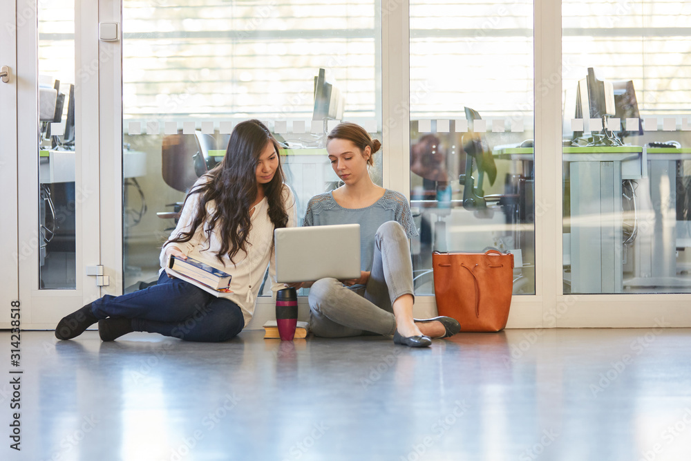 Two students working together with laptop Stock Photo | Adobe Stock
