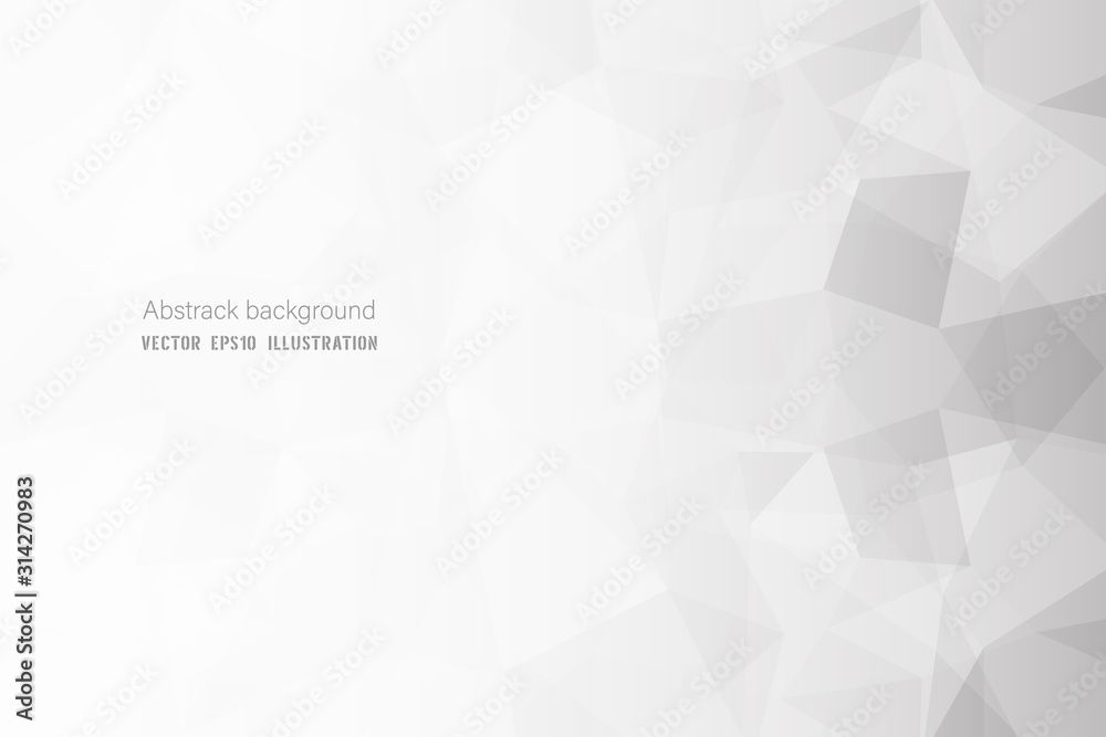 Abstract geometric white and gray polygon or lowpoly vector technology ...