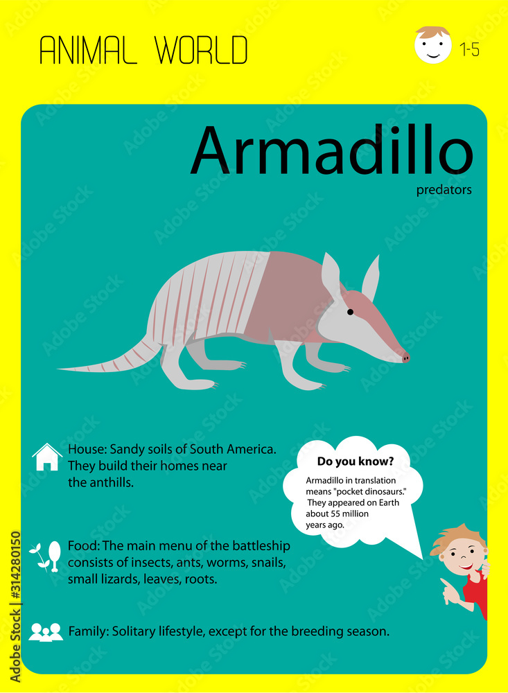 Armadillo Educational Card For Preschoolers Schoolchildren Zoology armadillo-educational-card-for-preschoolers-schoolchildren-zoology