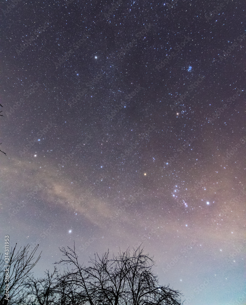 night sky with stars betelgeuse orion Stock Photo | Adobe Stock