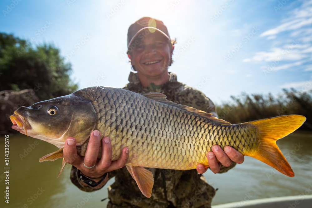 Happy fisherman holds the big Carp fish (Cyprinus carpio) and smiles ...
