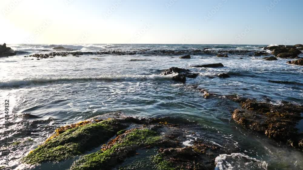 Biodiversity in sharp coastal rock formations. Low tide reveals seaweed ...