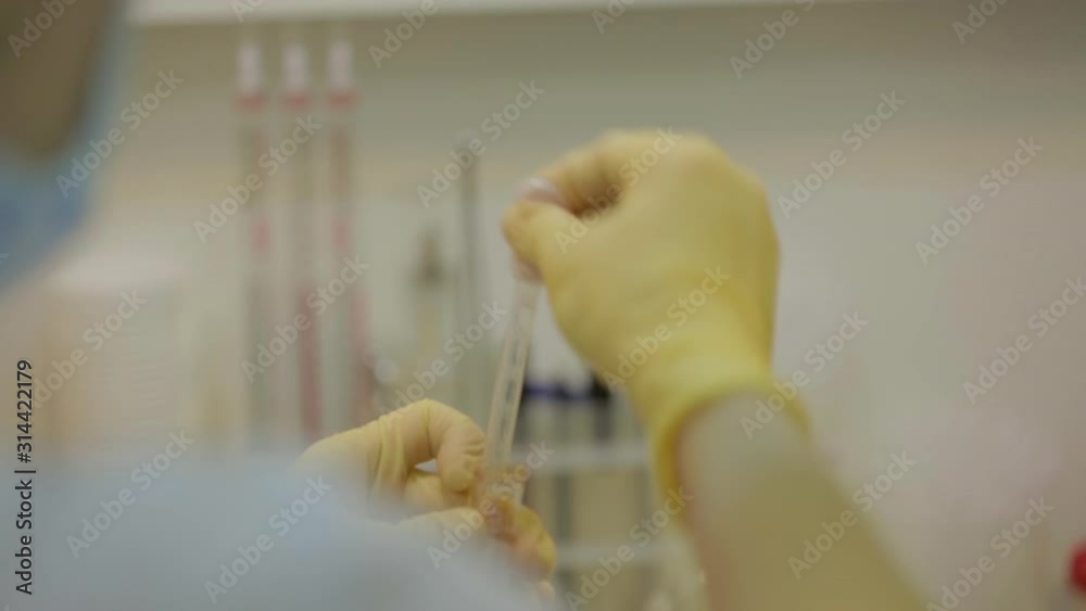 Laboratory technician performs sample analysis, work with pipette and ...