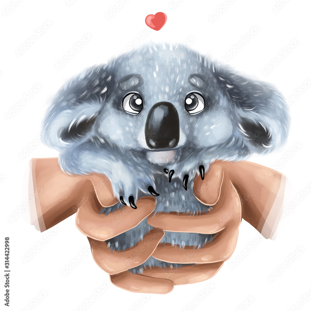 Koala Hands