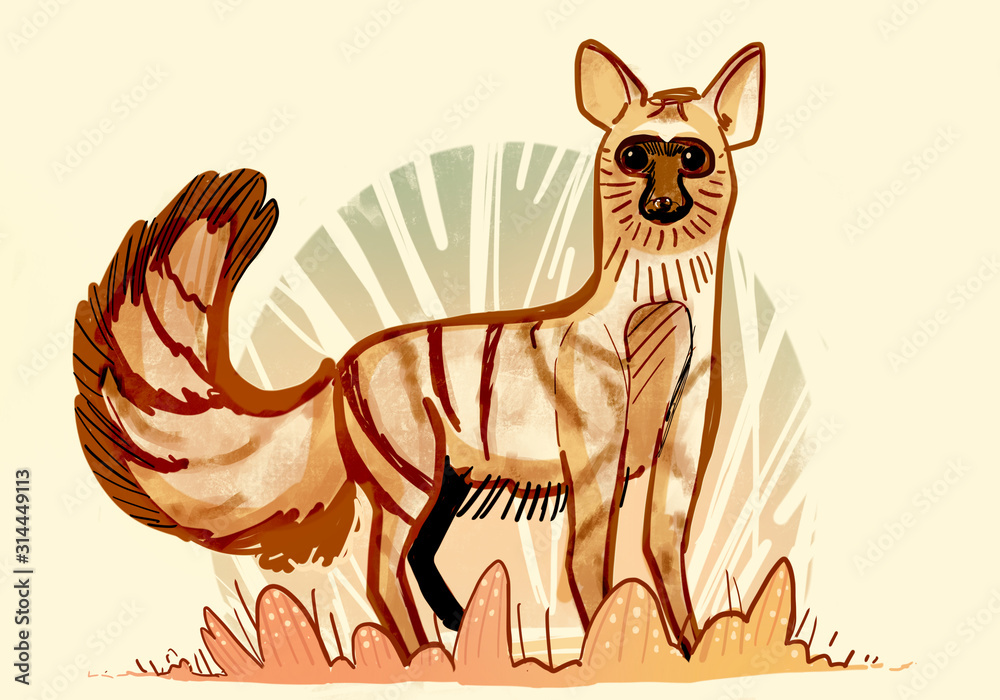 Aardwolf Drawing