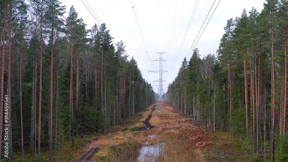 Tower of power lines in the forest. Electric tower line in Landscape ...