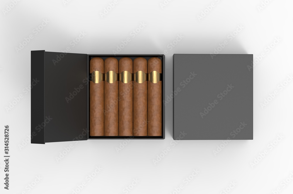 Blank cigars in hard paper box template for mock up, 3d render ...