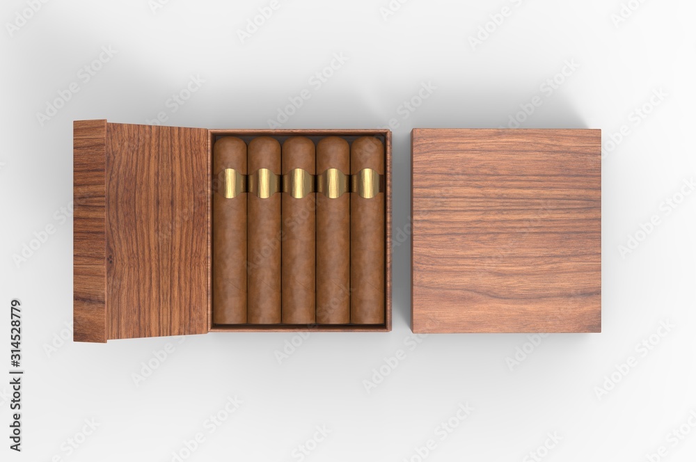 Blank cigars in hard paper box template for mock up, 3d render ...