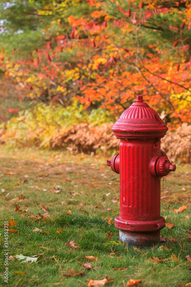 Red Vintage Fire Hydrant in a natural park on beautiful and colorful ...